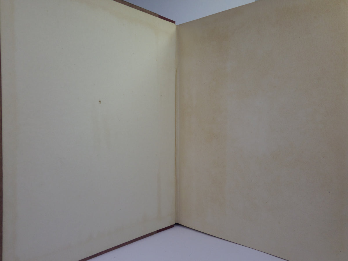 THE MARVELLOUS LAND OF SNERGS BY E. A. WYKE SMITH 1927 FIRST EDITION ...