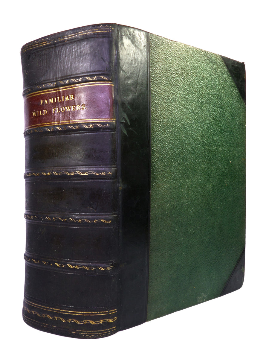 FAMILIAR WILD FLOWERS BY F. EDWARD HULME CA.1880 LEATHER BOUND, COLOUR ...