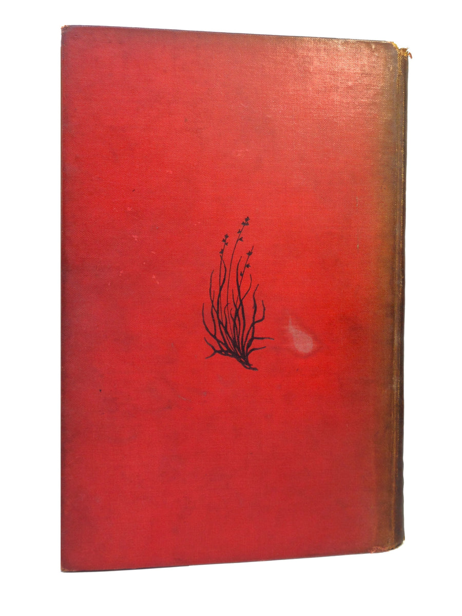 TREASURE ISLAND BY ROBERT LOUIS STEVENSON 1885 FIRST ILLUSTRATED EDITI ...