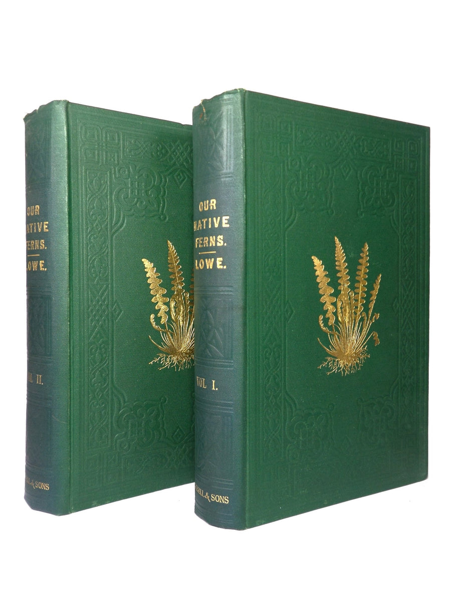 OUR NATIVE FERNS; OR A HISTORY OF THE BRITISH SPECIES AND THEIR VARIET ...