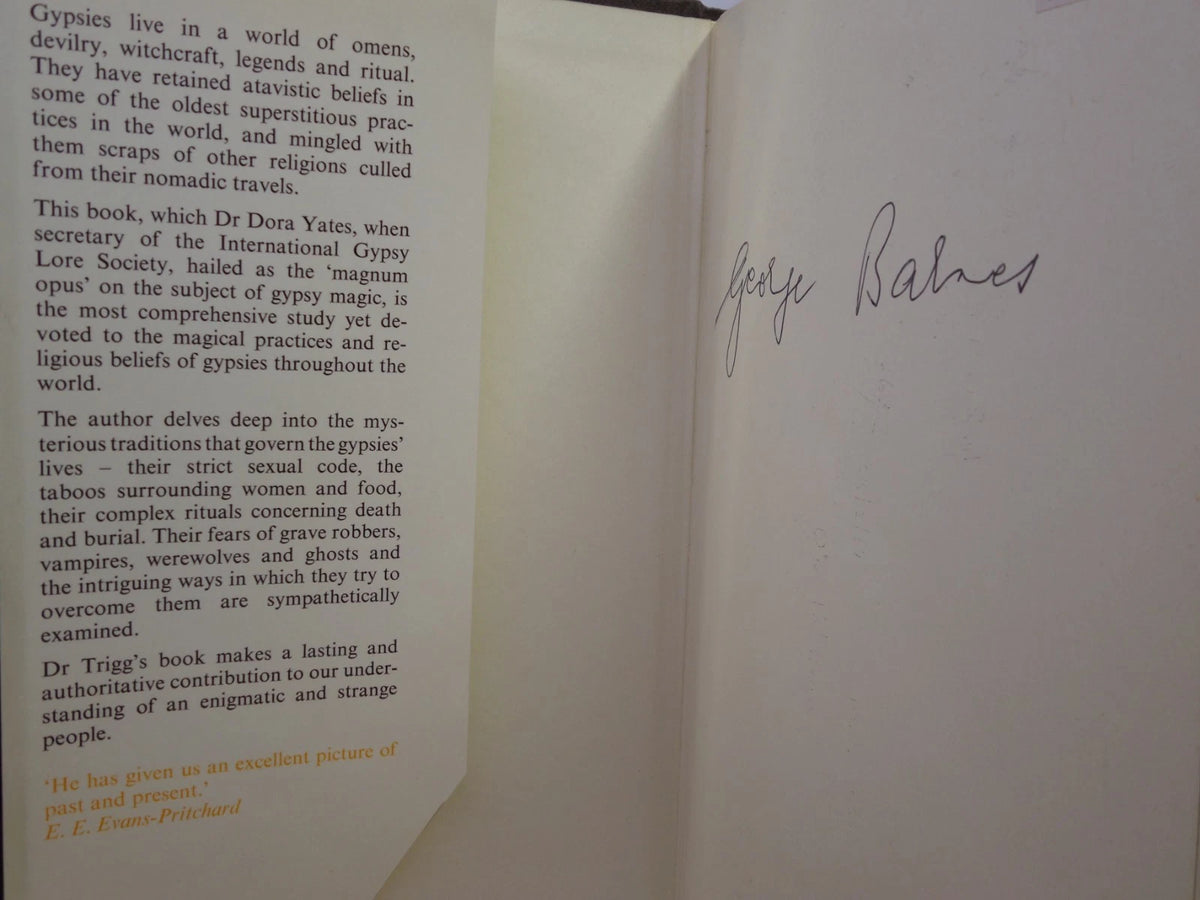 GYPSY DEMONS AND DIVINITIES: THE MAGICAL & SUPERNATURAL PRACTICES OF T ...